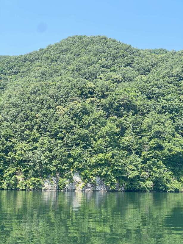 Gapyeong Day Trip : River Cruise to Walk around Jarasum - Practical Details & What to Expect