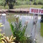 garden of the sleeping giant and mudpool tour combo - The Authentic Experience