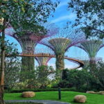 Gardens by the Bay Guided Tour - Authentic Traveler Experiences and Tips