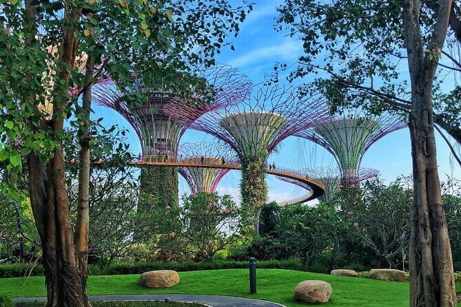 Gardens by the Bay Guided Tour - Authentic Traveler Experiences and Tips