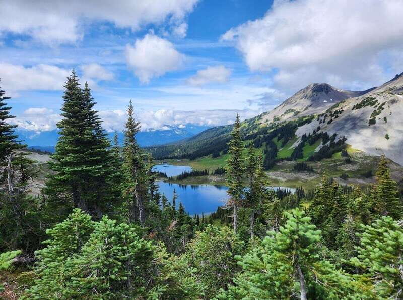Garibaldi Park/ Panorama Ridge/ Hiking Day Trip - Why This Tour Offers Real Value