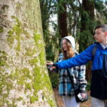 Gastown Discovery: A Family Tour Through Vancouvers Heart - What to Expect on the Tour
