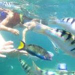 Gate Heaven Tirta Gangga With Snorkeling Private Guided Tour - Deep Dive: The Value and Experience