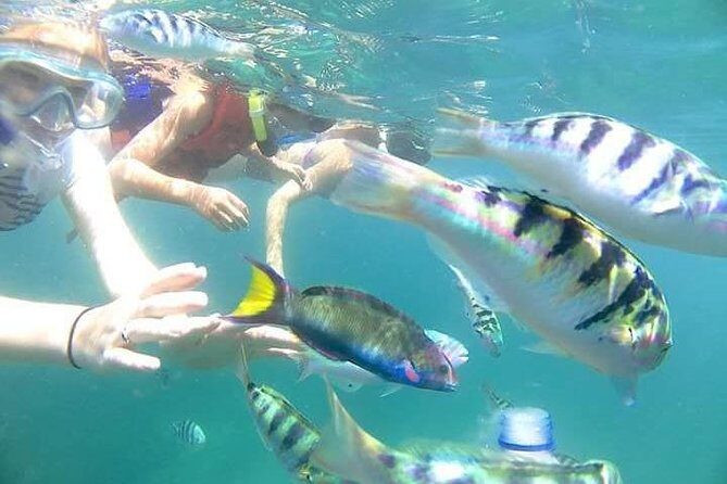 Gate Heaven Tirta Gangga With Snorkeling Private Guided Tour - Deep Dive: The Value and Experience