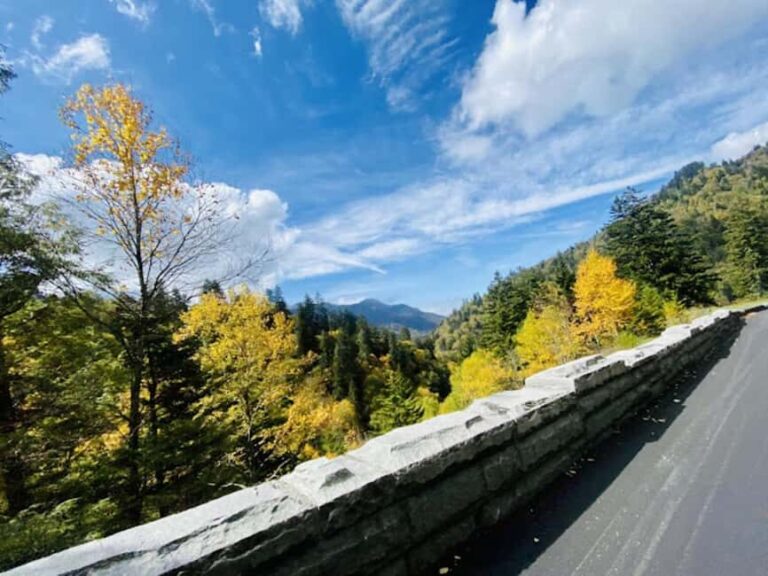 Gatlinburg: Jeep Rental Through The Smoky Mountains - Who Will Love This Experience?