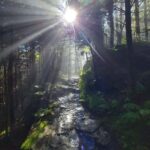 Gatlinburg: Smoky Mountain Appalachian Bald Guided Hike - The Practical Side: Price and Group Size