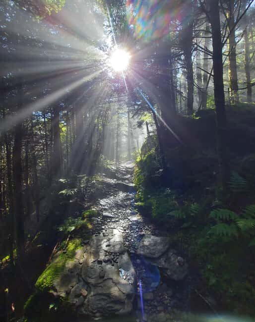 Gatlinburg: Smoky Mountain Appalachian Bald Guided Hike - The Practical Side: Price and Group Size