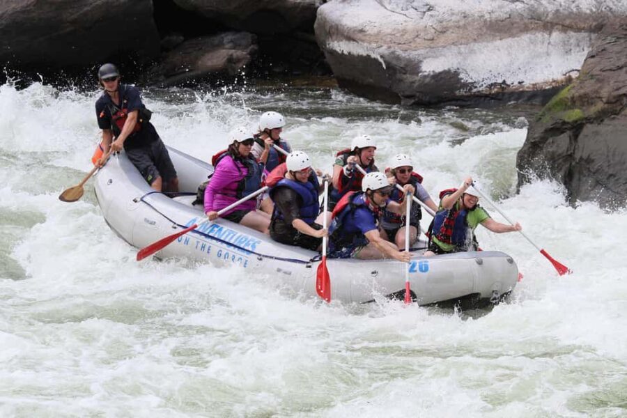 Gauley River: Lower Gauley Full Day Whitewater Rafting Tour - Real Traveler Perspectives