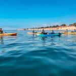 Gaviota Coast Near Santa Barbara: Kayak Tour (3.5 Hours) - The Practical Side: What’s Included, What’s Not