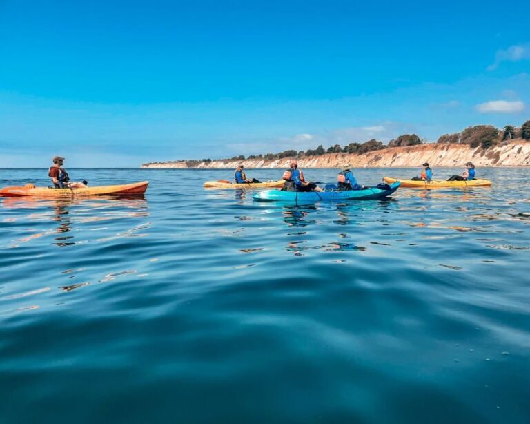 Gaviota Coast Near Santa Barbara: Kayak Tour (3.5 Hours) - The Practical Side: What’s Included, What’s Not