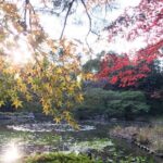 GEMS of EAST KYOTO on a BIKE! - Why Choose This Tour?