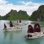Genesis Cruise Full day - An In-Depth Look at the Genesis Cruise Full Day Tour