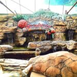 Genting Highland Day Trip Include 2-way Cable Car Tickets - What the Tour Means for You