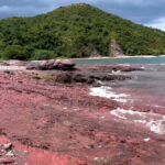 Geopark Red Coast Hopping Tour in Hong Kong - Practical Tips for Participants