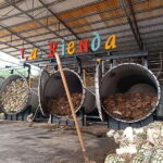 Get on Chile: know everything about tequila in "La Rienda" - Practical Details and Value