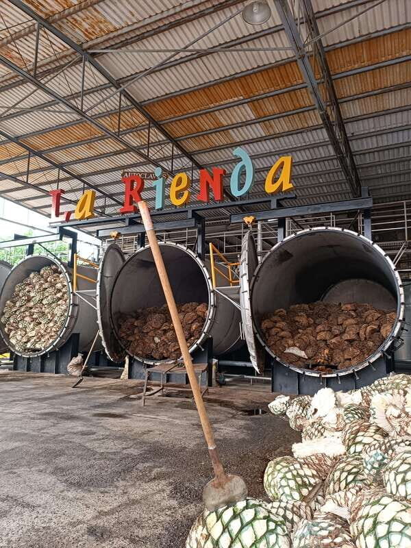 Get on Chile: know everything about tequila in "La Rienda" - Practical Details and Value