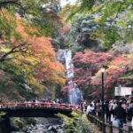 Get to know Minoo from Osaka. Katsuoji Temple, Ryuanji Waterfall and Ryuanji Temple - Final Thoughts