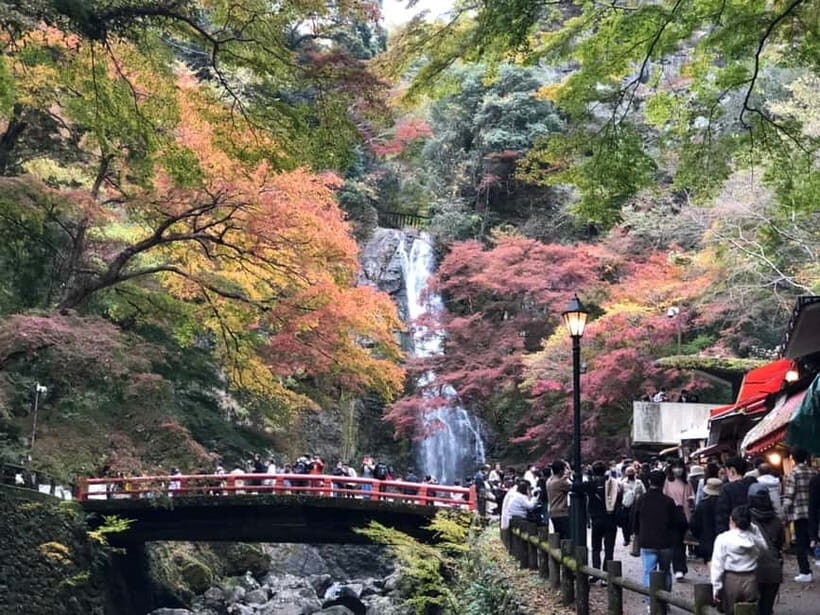 Get to know Minoo from Osaka. Katsuoji Temple, Ryuanji Waterfall and Ryuanji Temple - Final Thoughts