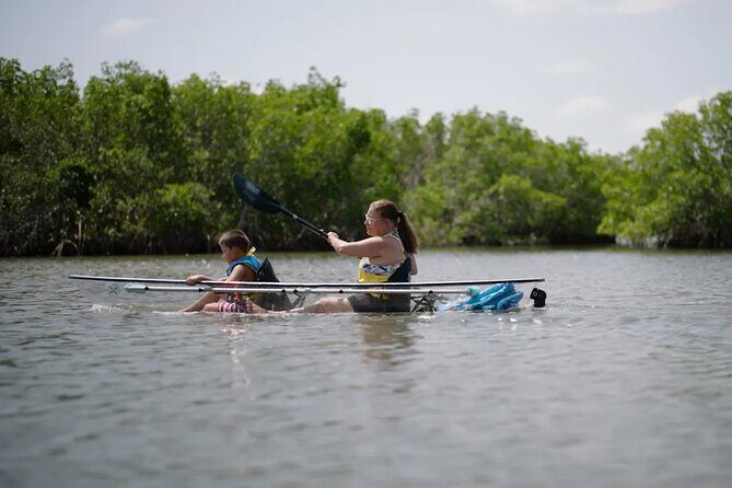 Get Up And Go Kayaking - New Smyrna Beach - What you’ll experience and why it matters