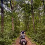 Gettysburg: 2 Hour Scenic Horseback Ride - A Closer Look at the Ride