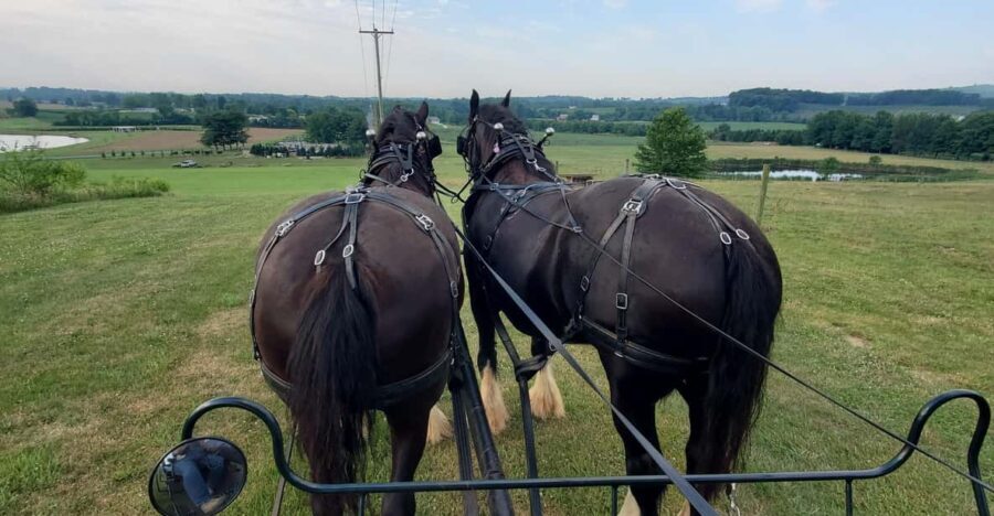 Gettysburg: Horse-Drawn Carriage Tour Countryside & Orchards - What Makes This Tour Stand Out?