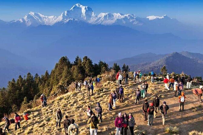 Ghorepani Poon hill Circuit Trek in 5 days - FAQ