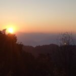 Ghorepani Poon Hill Trek - Day 2: Into Rhododendron Forests to Ghode Pani