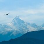 Ghorepani Poonhill Trek - Price and Value: Is It Worth It?