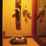 Ghost Stories and Nightlife Tour of Takayama (Private Tour - Price per Group) - Genuine Traveler Insights