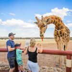 Giraffe Safari & a Day at Monarto Safari Park - Authentic Experiences and Visitor Feedback