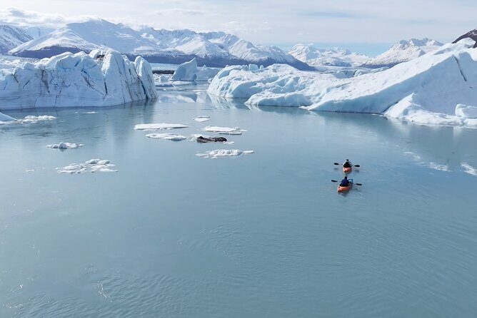 Glacier Blue Kayaking  Knik Glacier Day Tour from Anchorage - Transportation, Group Size, and Overall Value