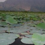 Glimpse of Kashmir - Why This Tour Is a Winner