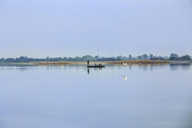 Glimpses of Wildlife & Footstep of Gandhi Gujarat Tour (10 Days) - Final Thoughts