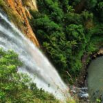 Glow Worms + Day/Night Rainforest & Waterfalls Experience - Exploring Springbrook National Park