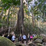 Glow-worms, Waterfalls & Rainforest Experience - Why the Reviews Love This Tour