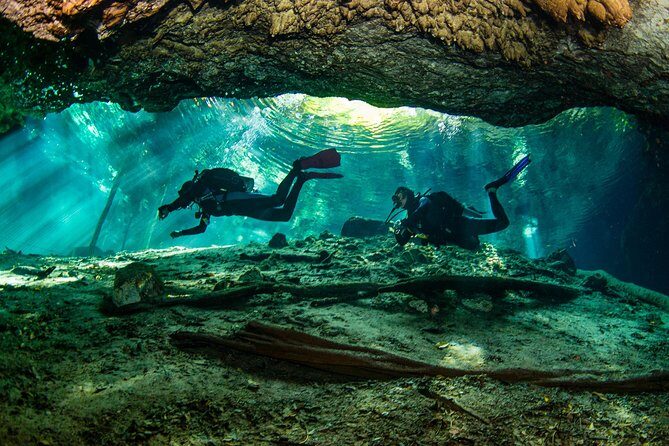 Go for 2 dives in cenote Dos ojos for certified divers - What Makes Dos Ojos Special?