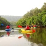 Goa Kayaking in Spike's River - Key Points