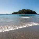 Goat Island: Glass Bottom Boat Tour - Who Should Consider This Tour?