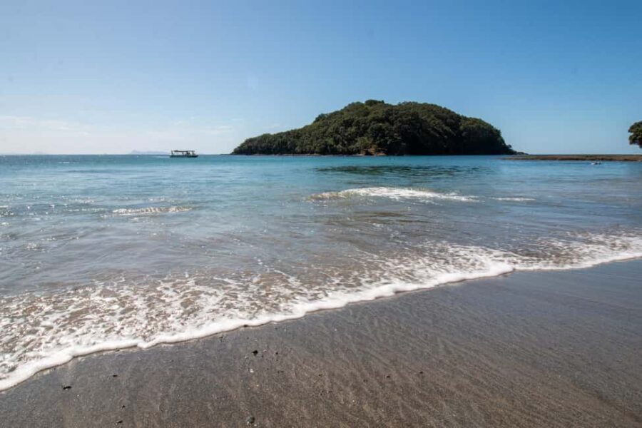 Goat Island: Glass Bottom Boat Tour - Who Should Consider This Tour?