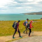 Godley Head & Lyttelton Scenic Drive & Guided Walk (Private Tour) - The Highlight: Godley Head & the Walk