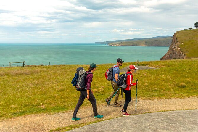 Godley Head & Lyttelton Scenic Drive & Guided Walk (Private Tour) - The Highlight: Godley Head & the Walk
