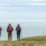 Godley Head Scenic Drive & Guided Walk (Shore Excursion) - Who Should Consider This Tour?