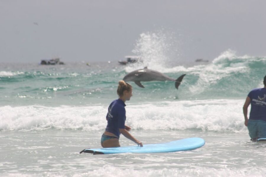 Gold Coast: 2-Hour Private Surf Lesson with Photo Package - What to Expect During Your Surf Lesson