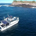 Gold Coast: Cook Island Marine Reserve Scuba Experience Dive - Practical Tips for Travelers