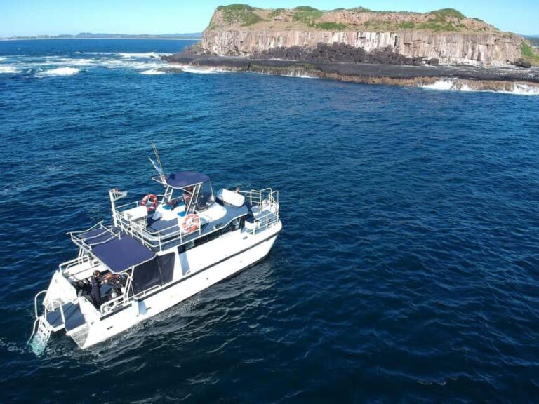 Gold Coast: Cook Island Marine Reserve Scuba Experience Dive