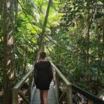 Gold Coast Departure : Explore Tamborine Mountain Day Tour - What Makes This Tour Stand Out?