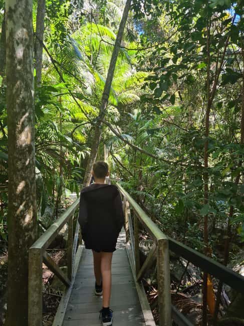 Gold Coast Departure : Explore Tamborine Mountain Day Tour - What Makes This Tour Stand Out?