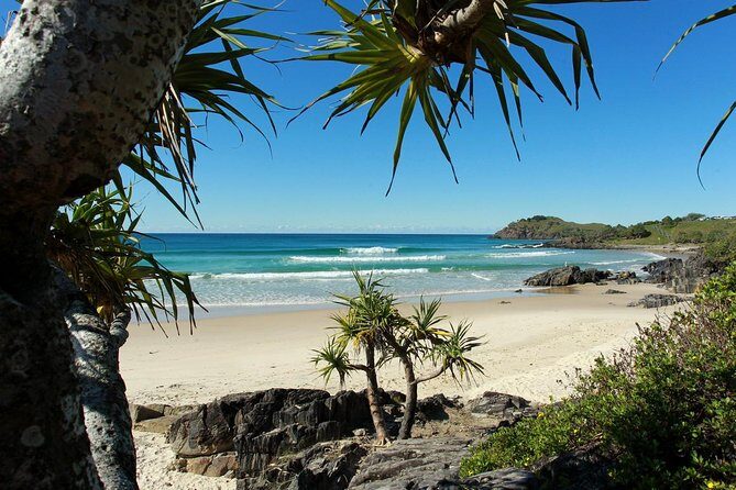 Gold Coast Full Day Learn To Surf Adventure - The Itinerary: What To Expect from Start to Finish