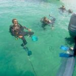 Gold Coast: Introductory SCUBA Diving Experience - Real Experiences from Participants