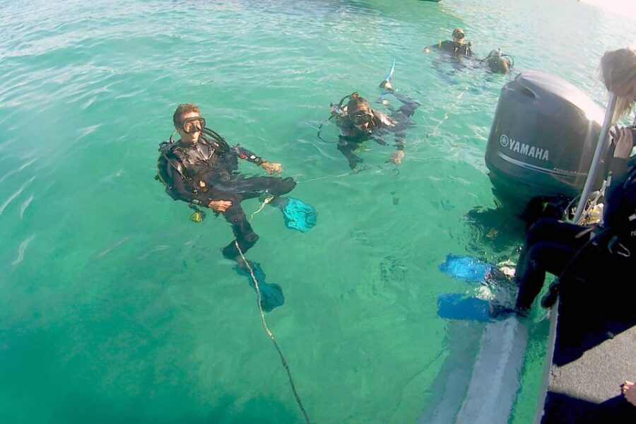 Gold Coast: Introductory SCUBA Diving Experience - Real Experiences from Participants